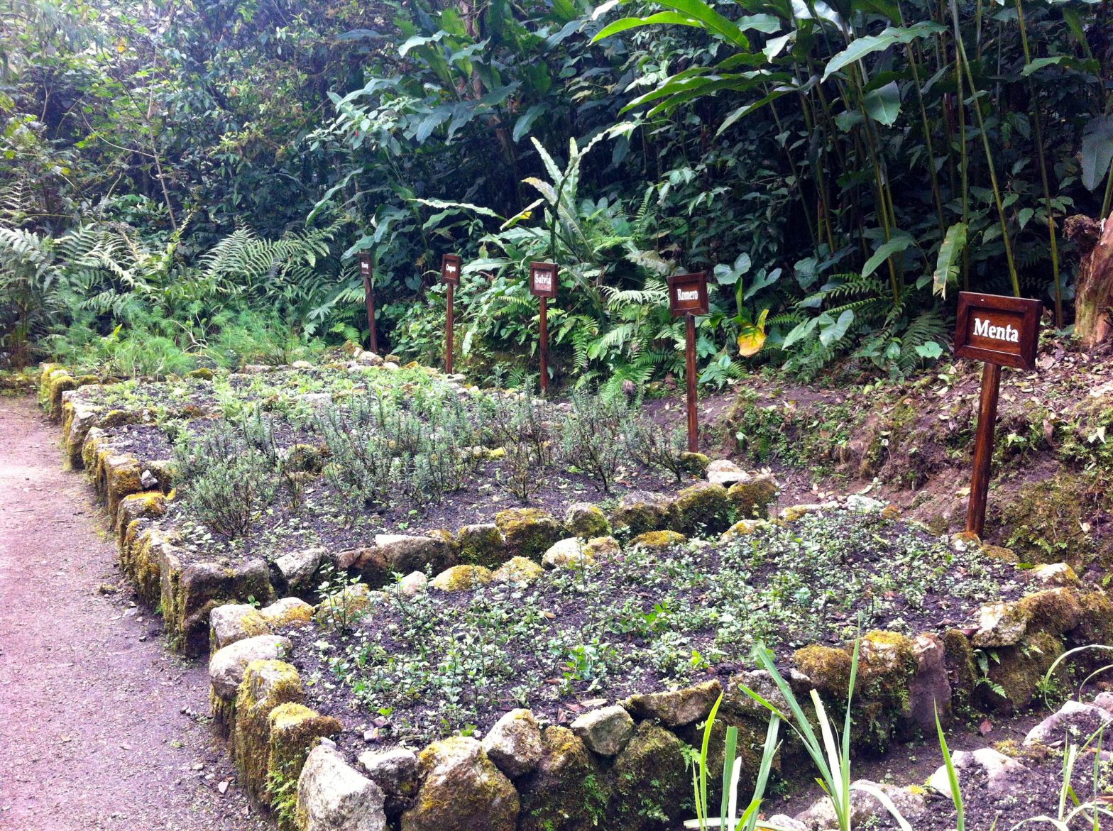 Inkaterra’s Bio-Orchard: Top Plants