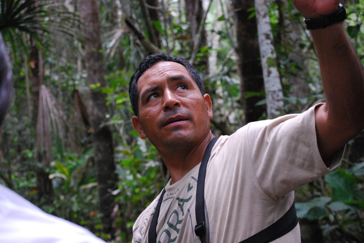 Elias’s Forest – by Sarah Erdman