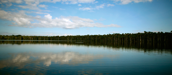 Full Day Excursions - Inkaterra Reserva Amazonica